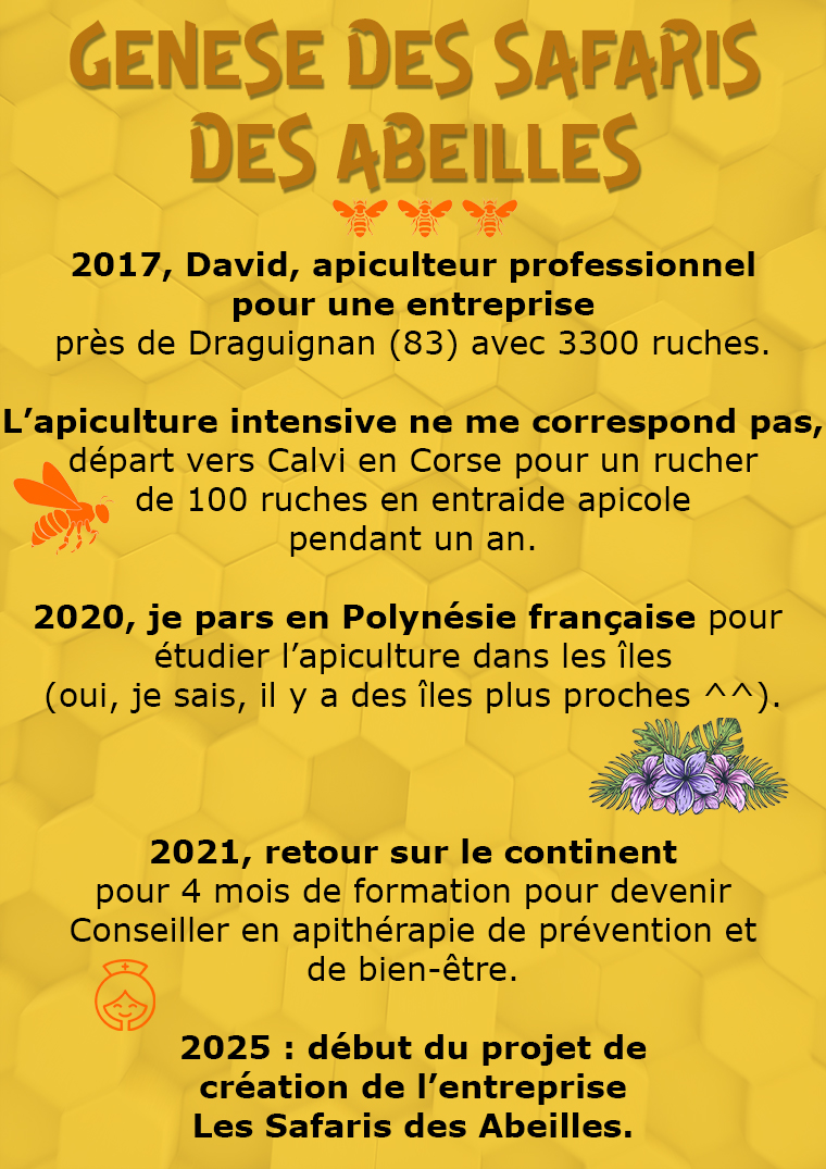 Organiser des Safaris avec des Abeilles - Ulule
