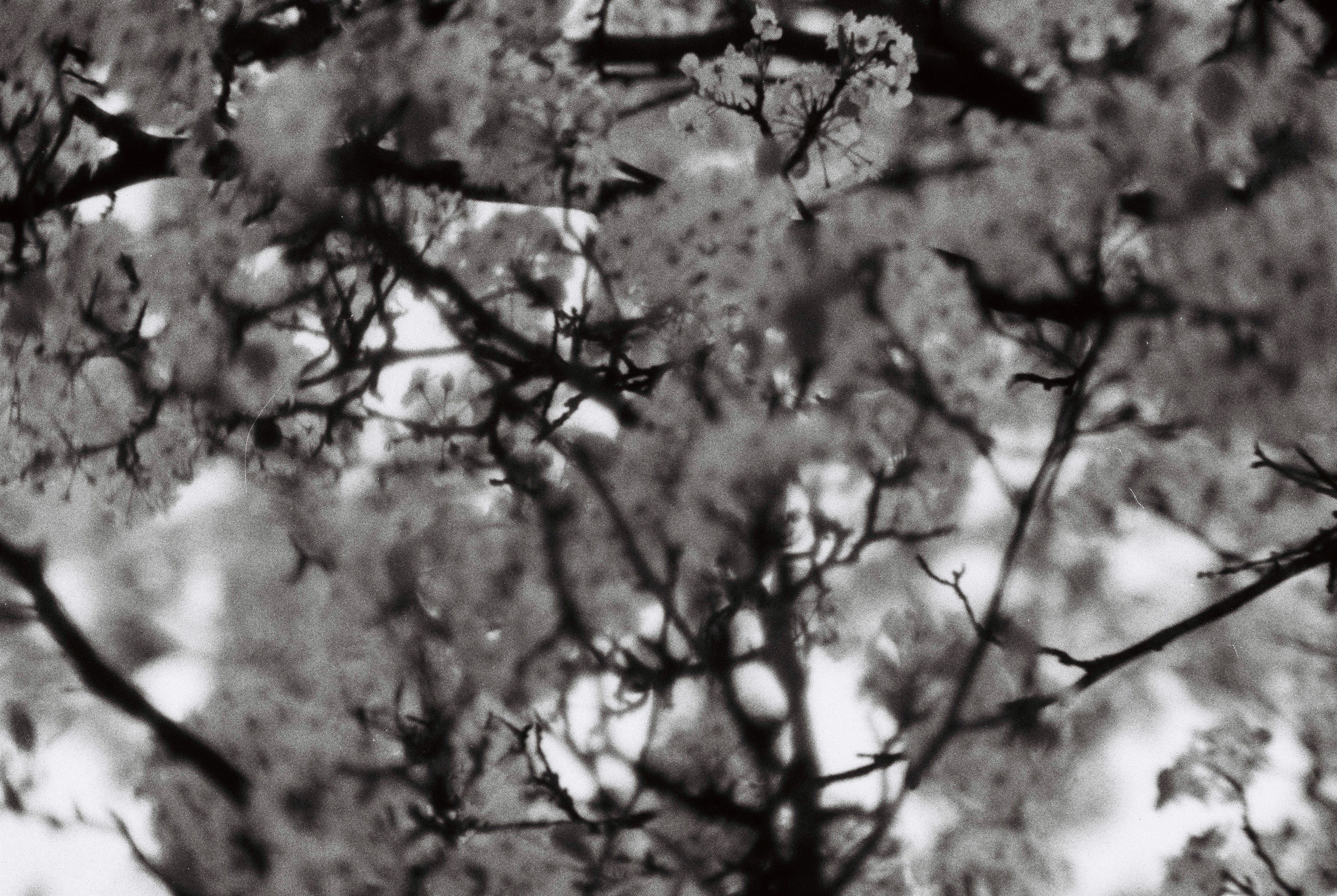 They smile when they dream.. But reality is enough - FACE A - Ulule