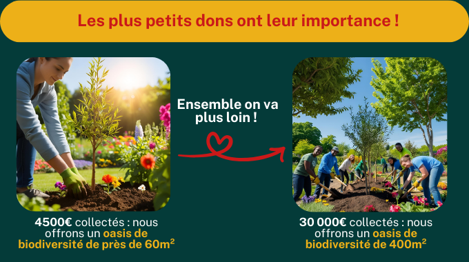 Végétalisons les Écogîtés