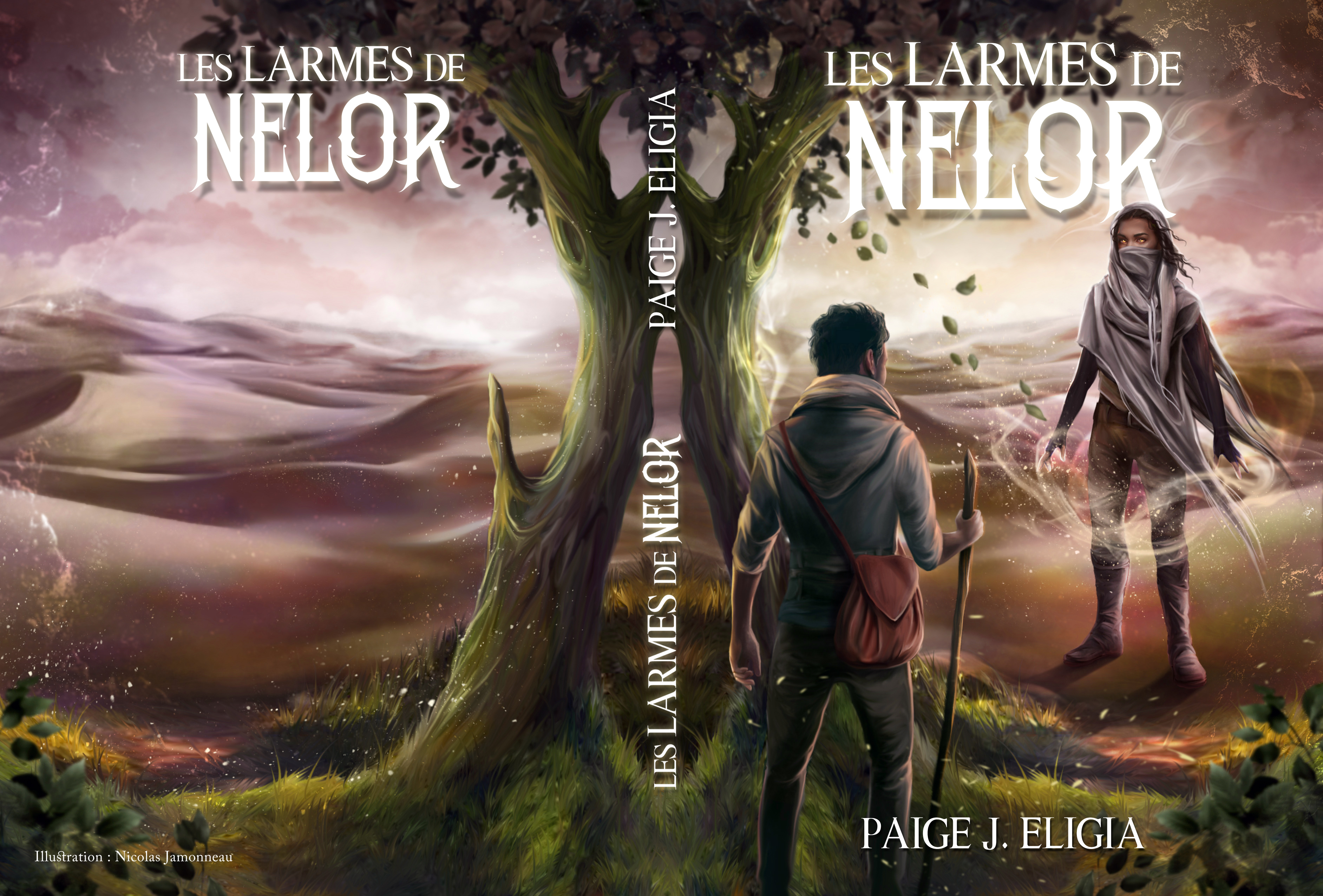 Les Larmes de Nelor - Ulule