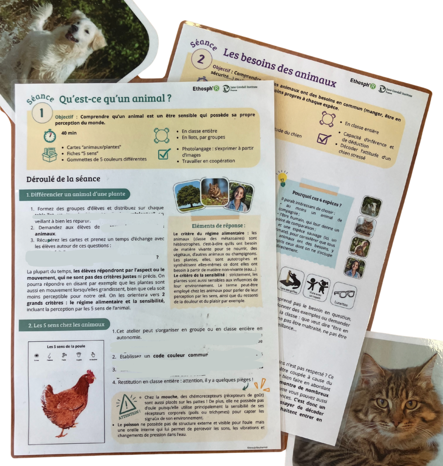 Enseigner le respect des animaux dès le CP ! - Ulule