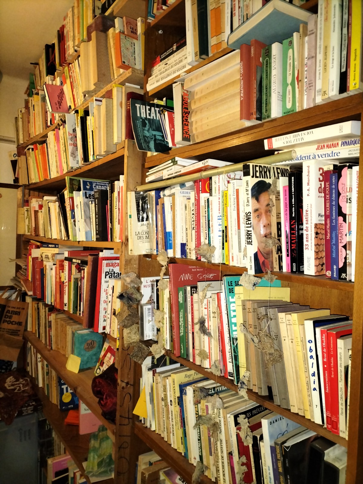 Centre d'Information et de Documentation sur l'Humour - Ulule