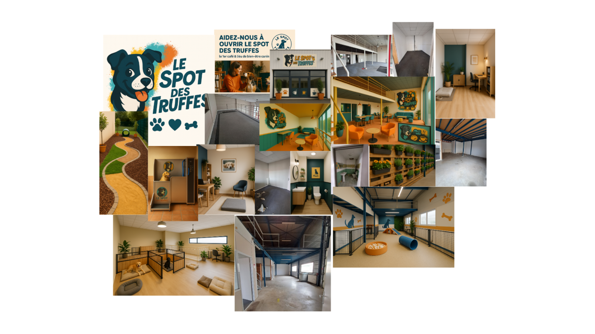 Le Spot des Truffes 🐾 – Café, parc & bien-être canin - Ulule