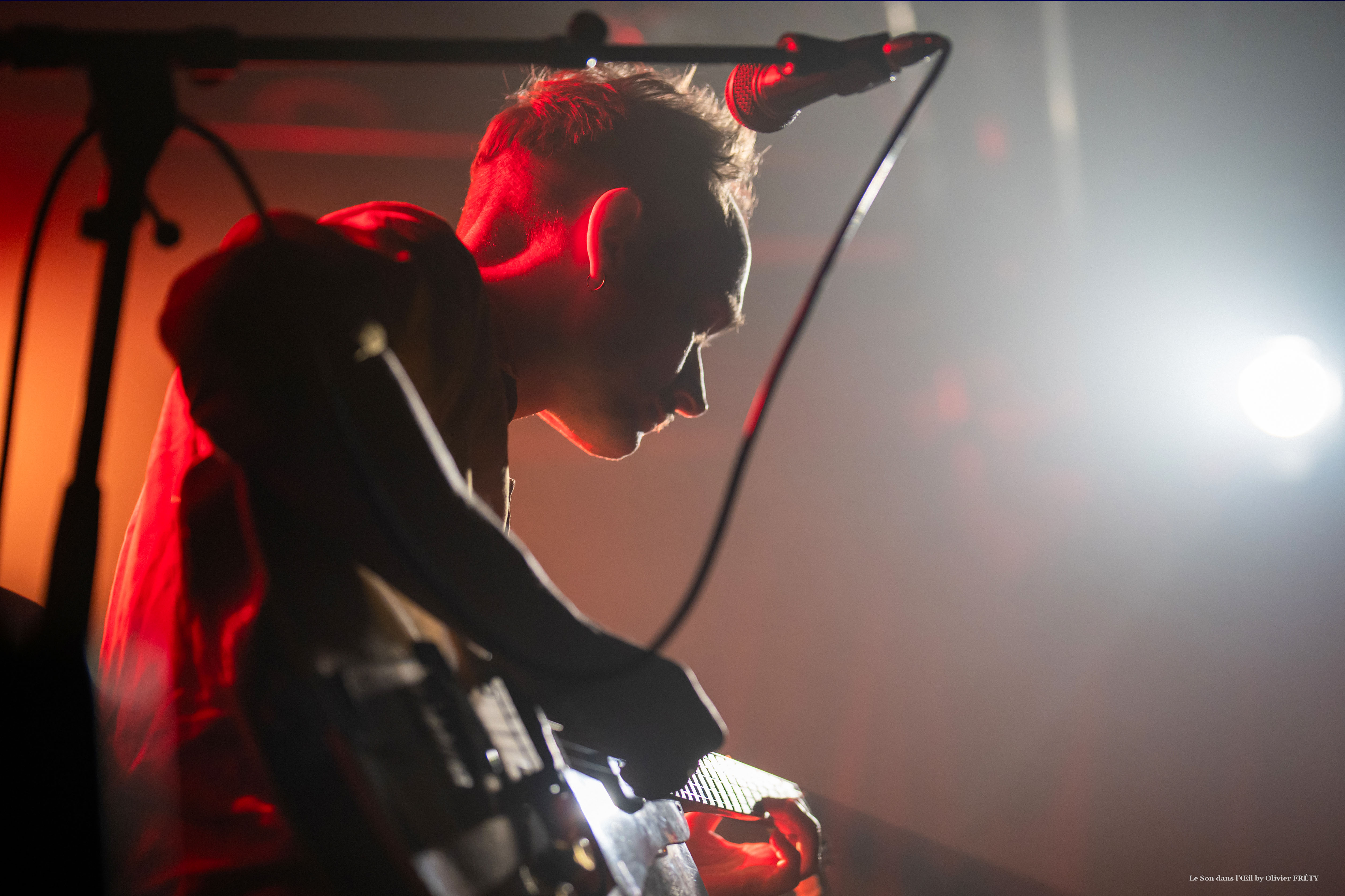 Erable - Album 'Métamorphose'