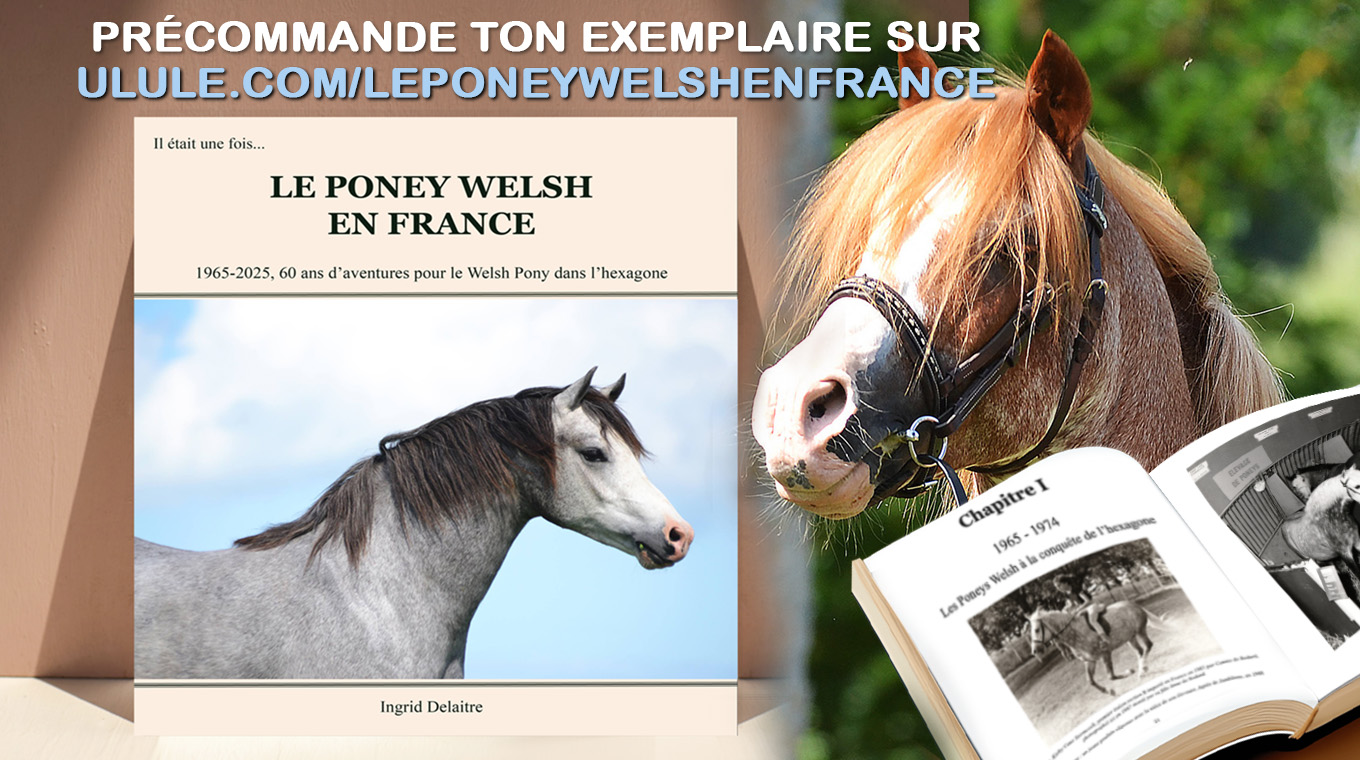 Éditer l’Histoire du Poney Welsh B en France