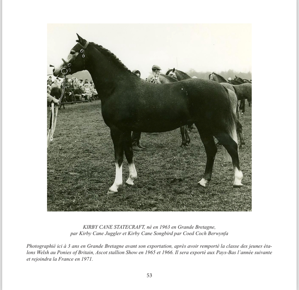 Éditer l’Histoire du Poney Welsh B en France
