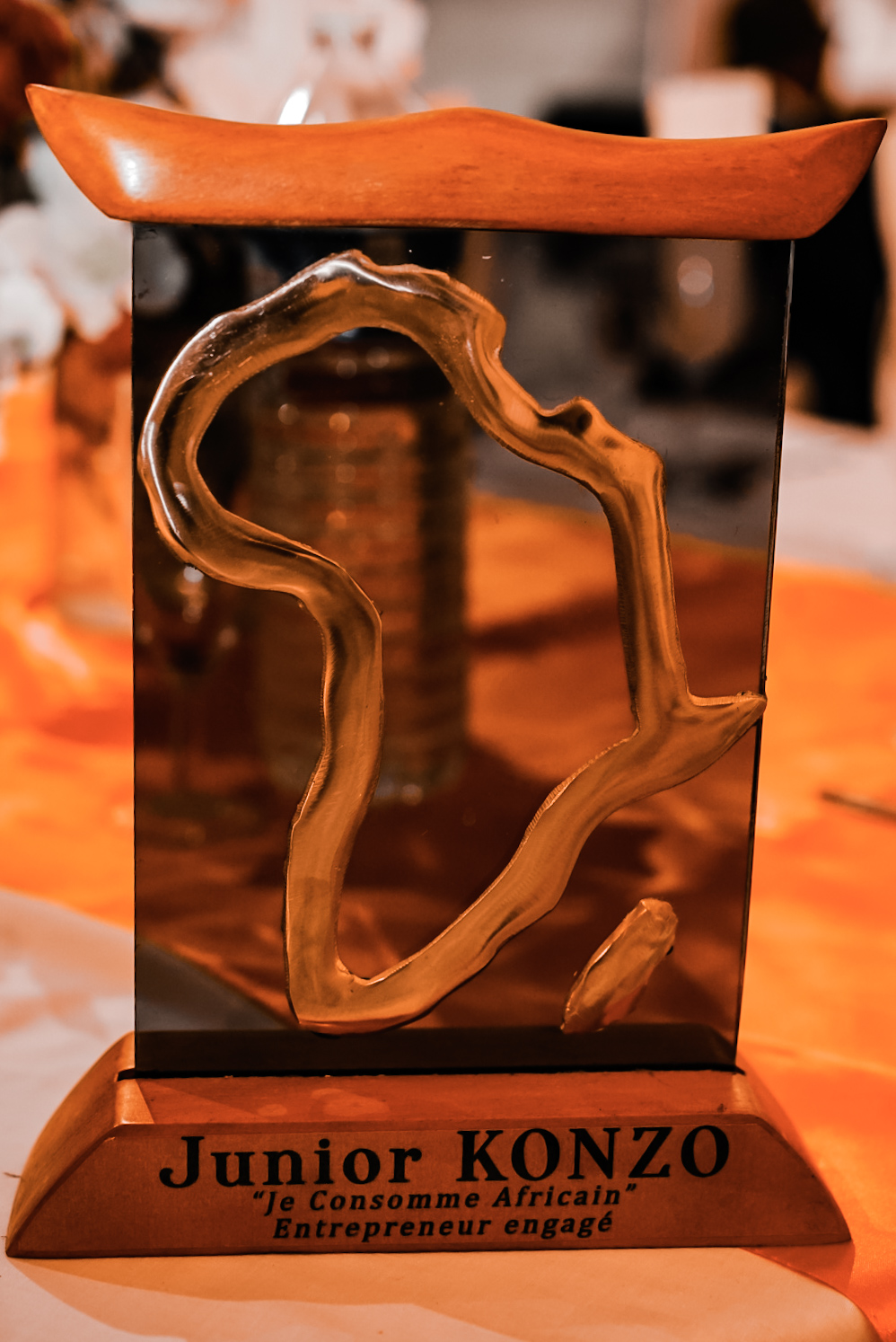 Soutien au développement de lannuaireafricain.com - Ulule