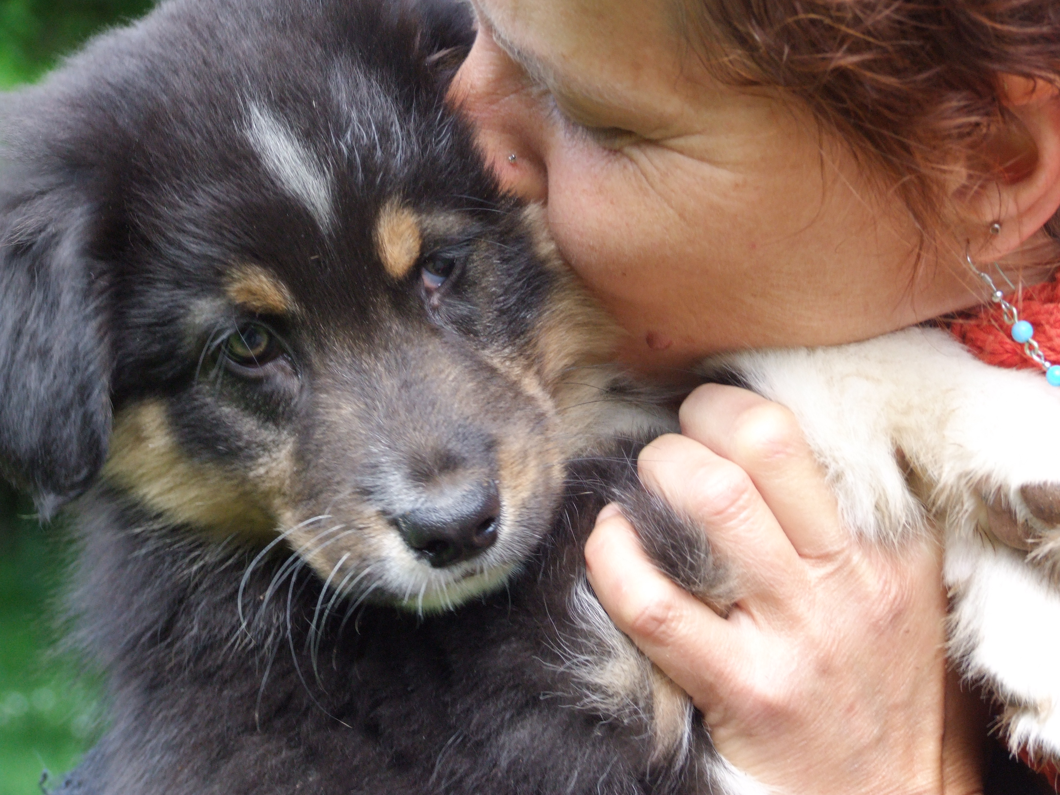 Sandrine Luce Mangel - Ulule