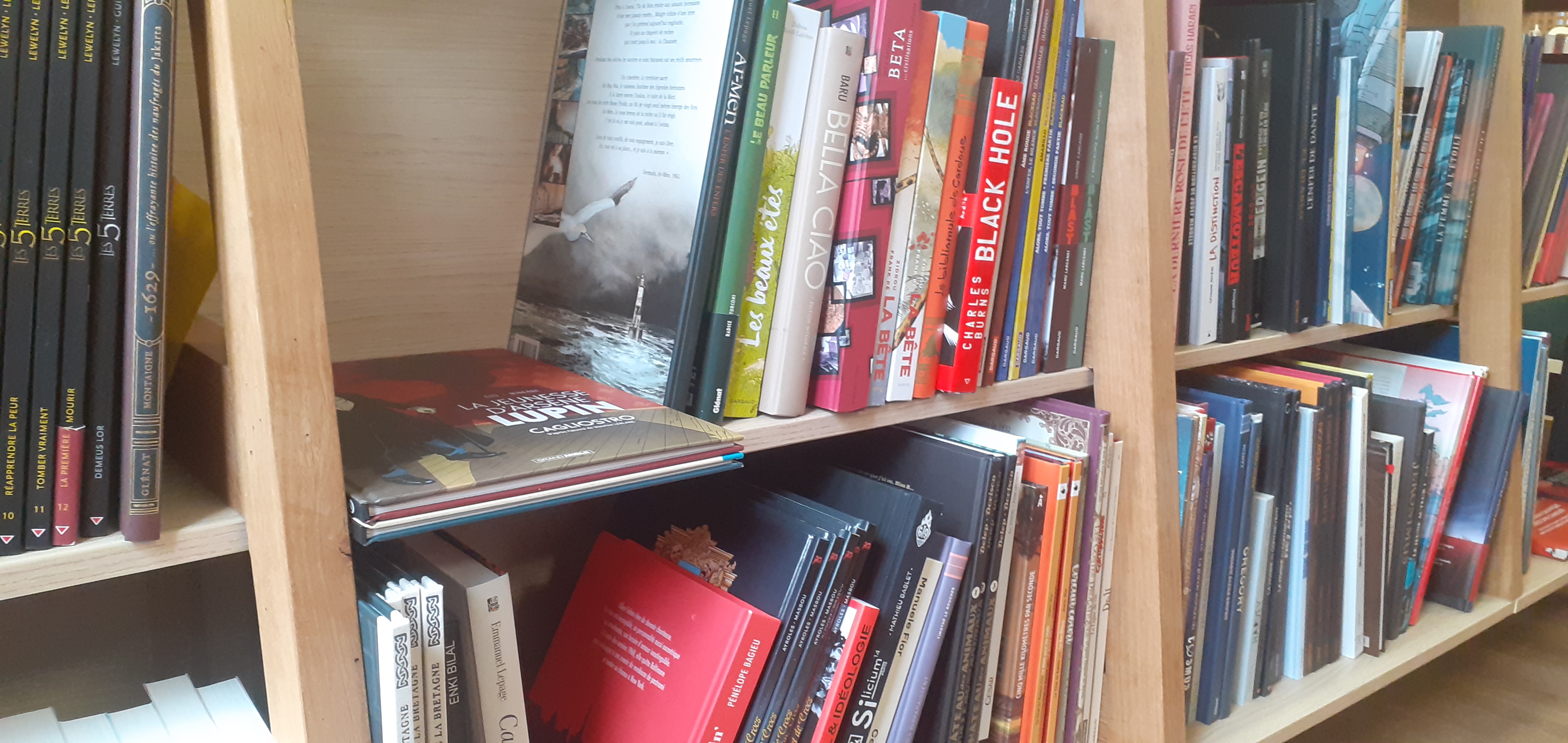 BD à la canopée - Ulule