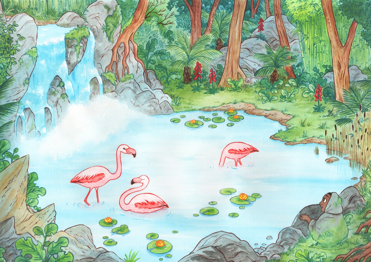 "Trésors", un album illustré pour explorer la nature - Ulule