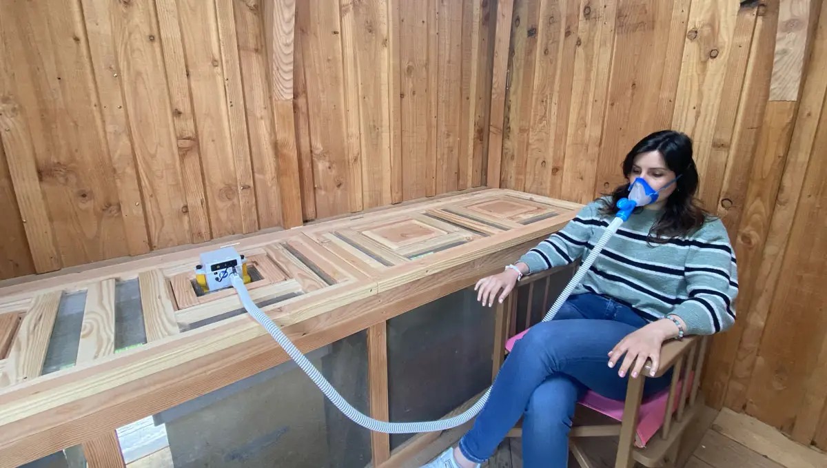 Créons tous ensemble la première Chambre d'Abeilles nomade! - Ulule