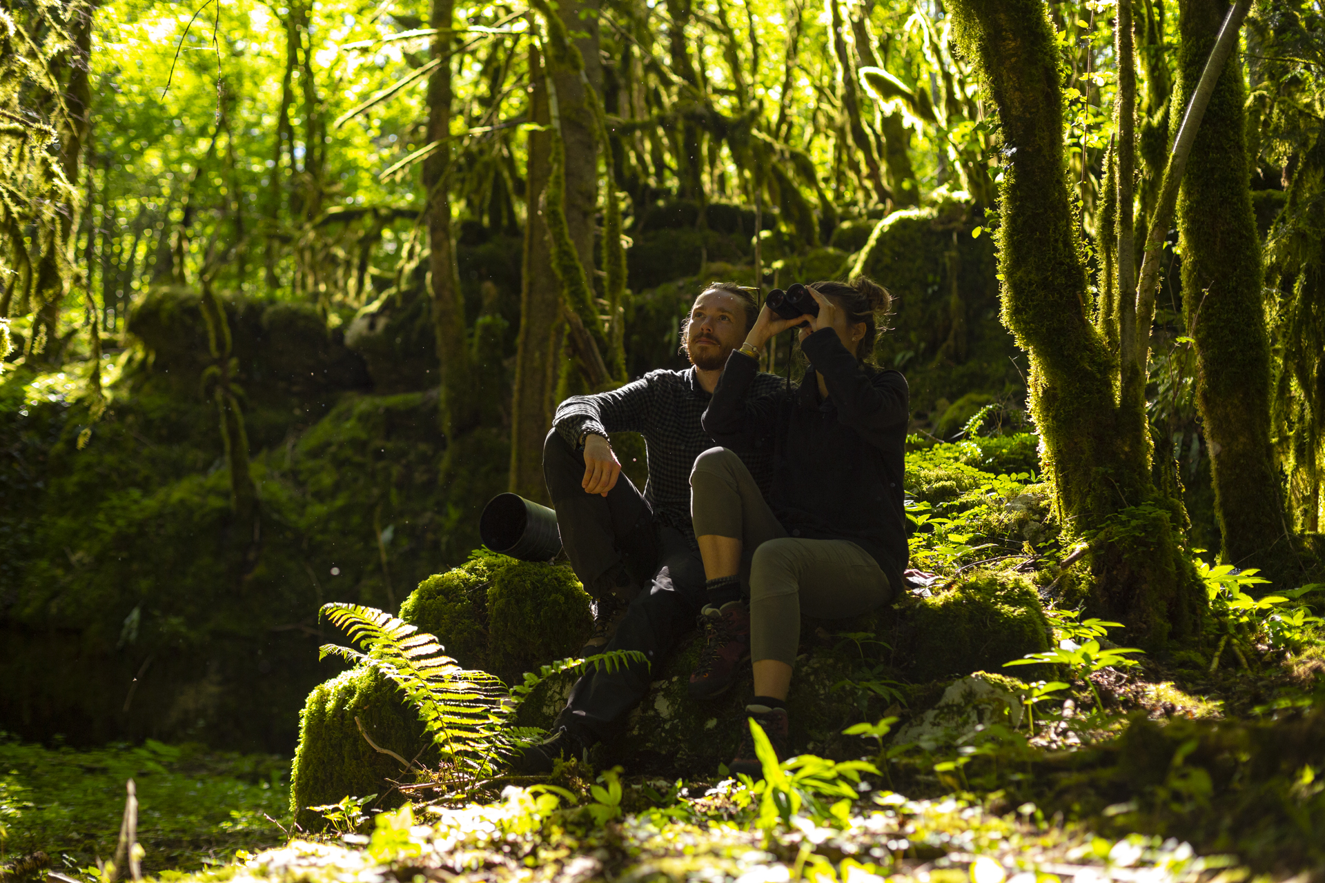 Calendrier Nature 2024 engagé pour la biodiversité - Ulule