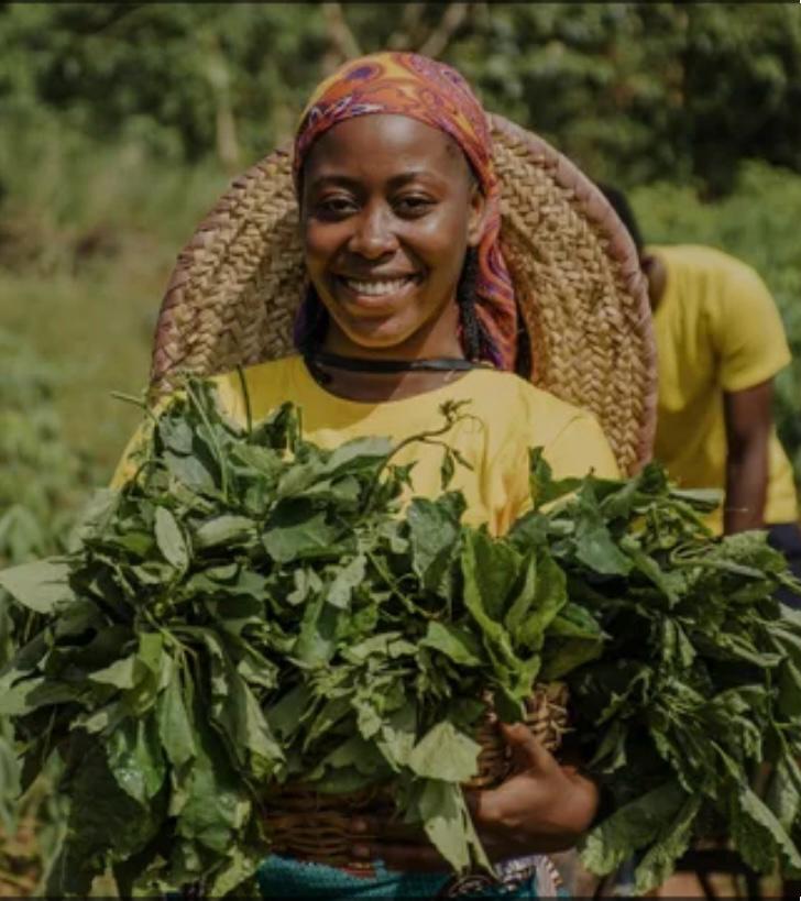 EBINI – La tradition africaine mijotée en bocal - Ulule
