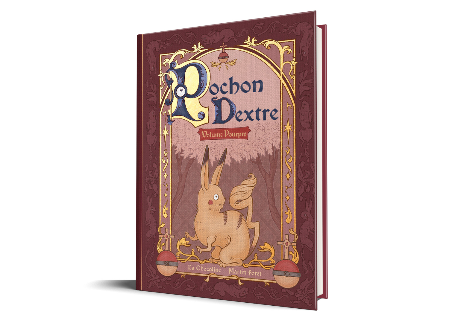 Pochon Dextre Azur & Pochon Dextre Pourpre - Ulule
