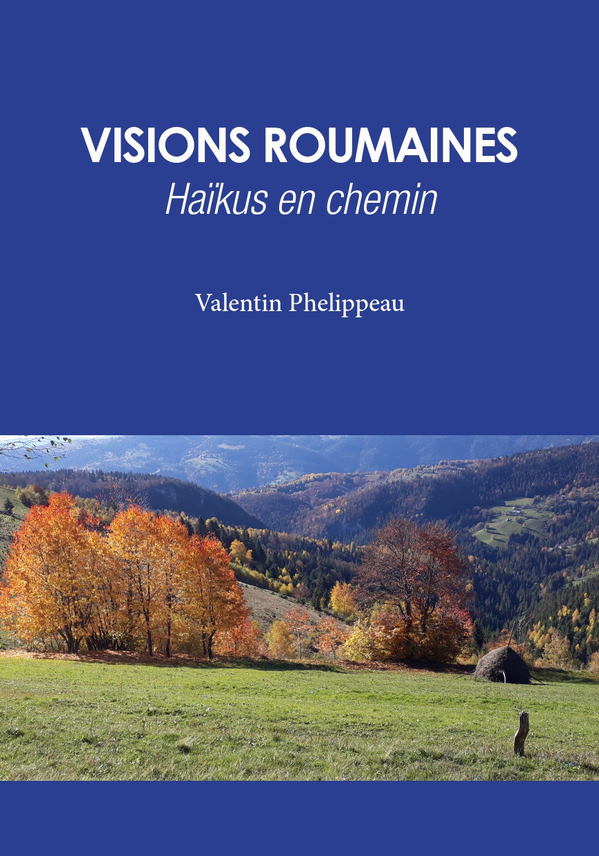 Livre "Visions roumaines - Haïkus en chemin"