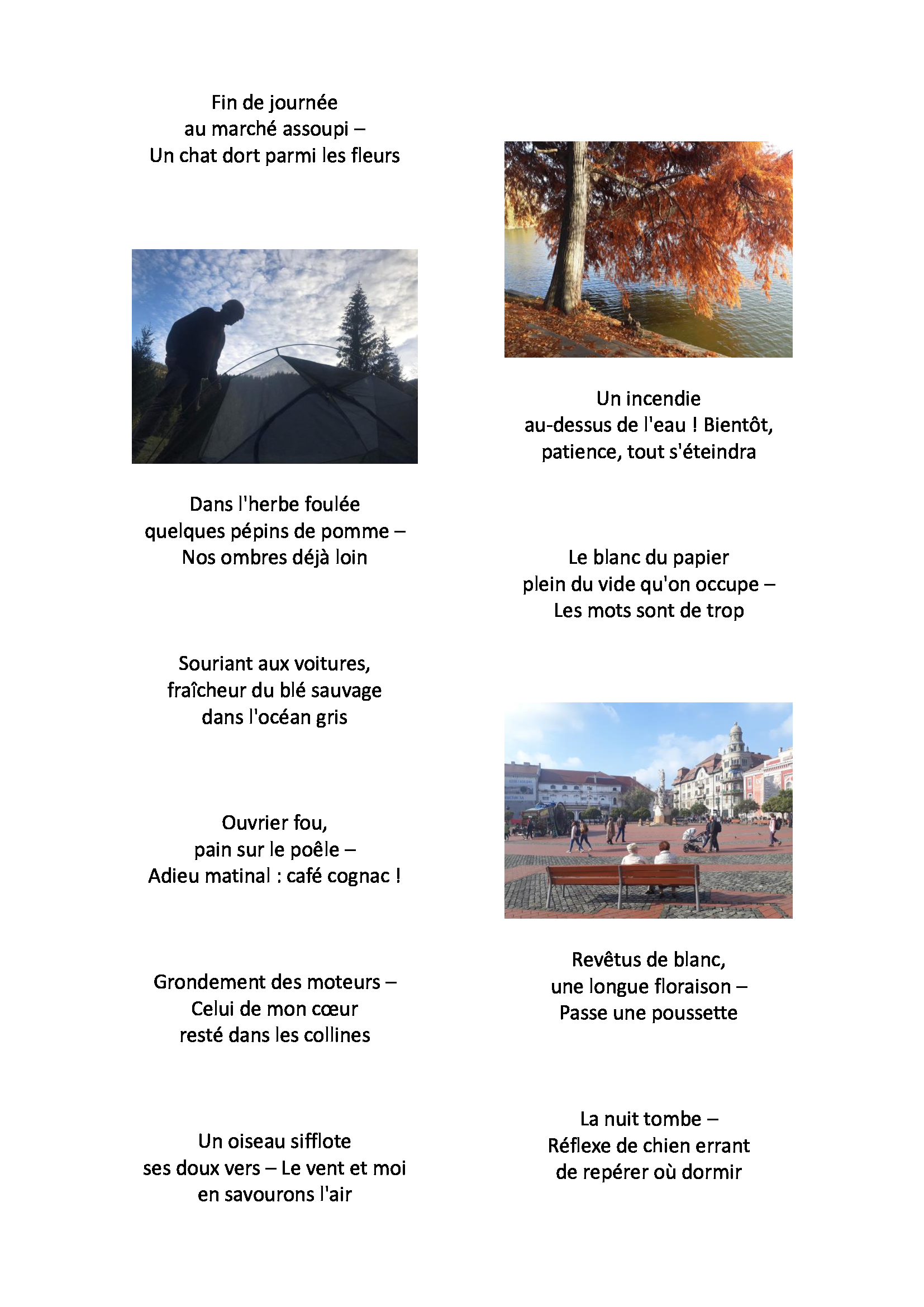 Livre "Visions roumaines - Haïkus en chemin"
