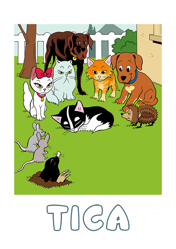 TICA : Ne réveillez pas le chaton qui dort - Ulule