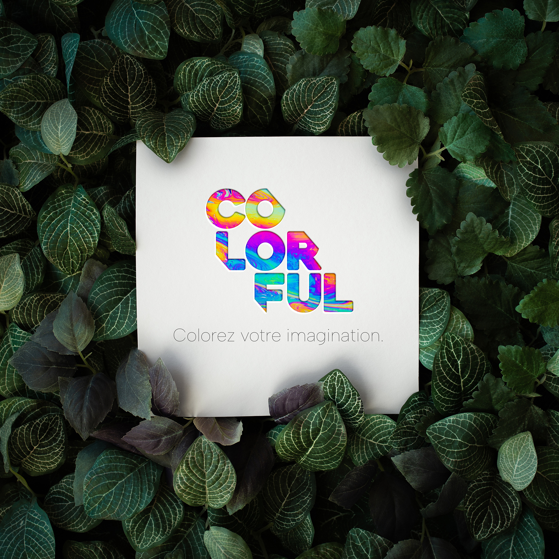 COLORFUL MAGAZINE - BLEU - Ulule