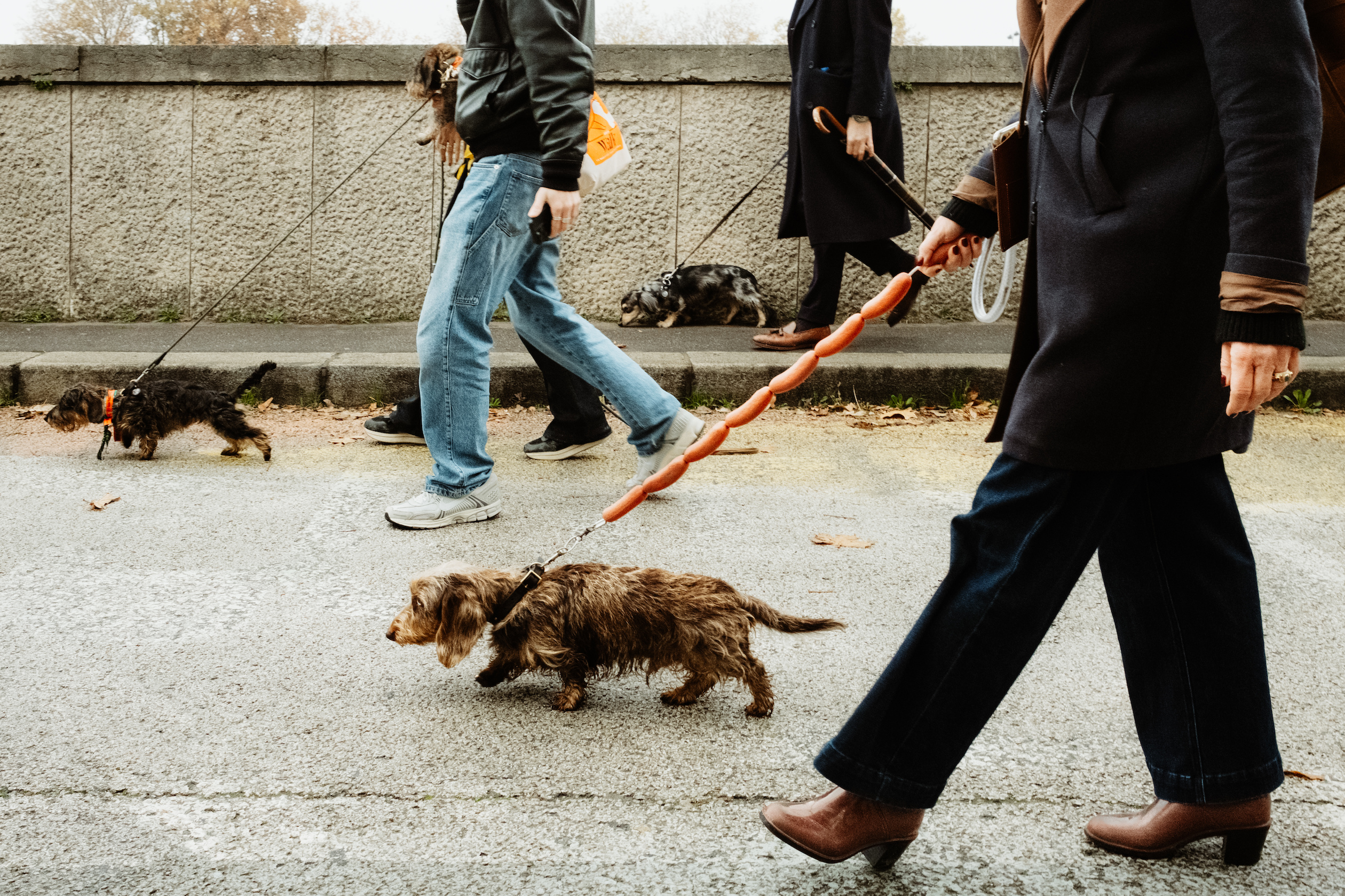 Flair - Elsa Lebaratoux - Ulule
