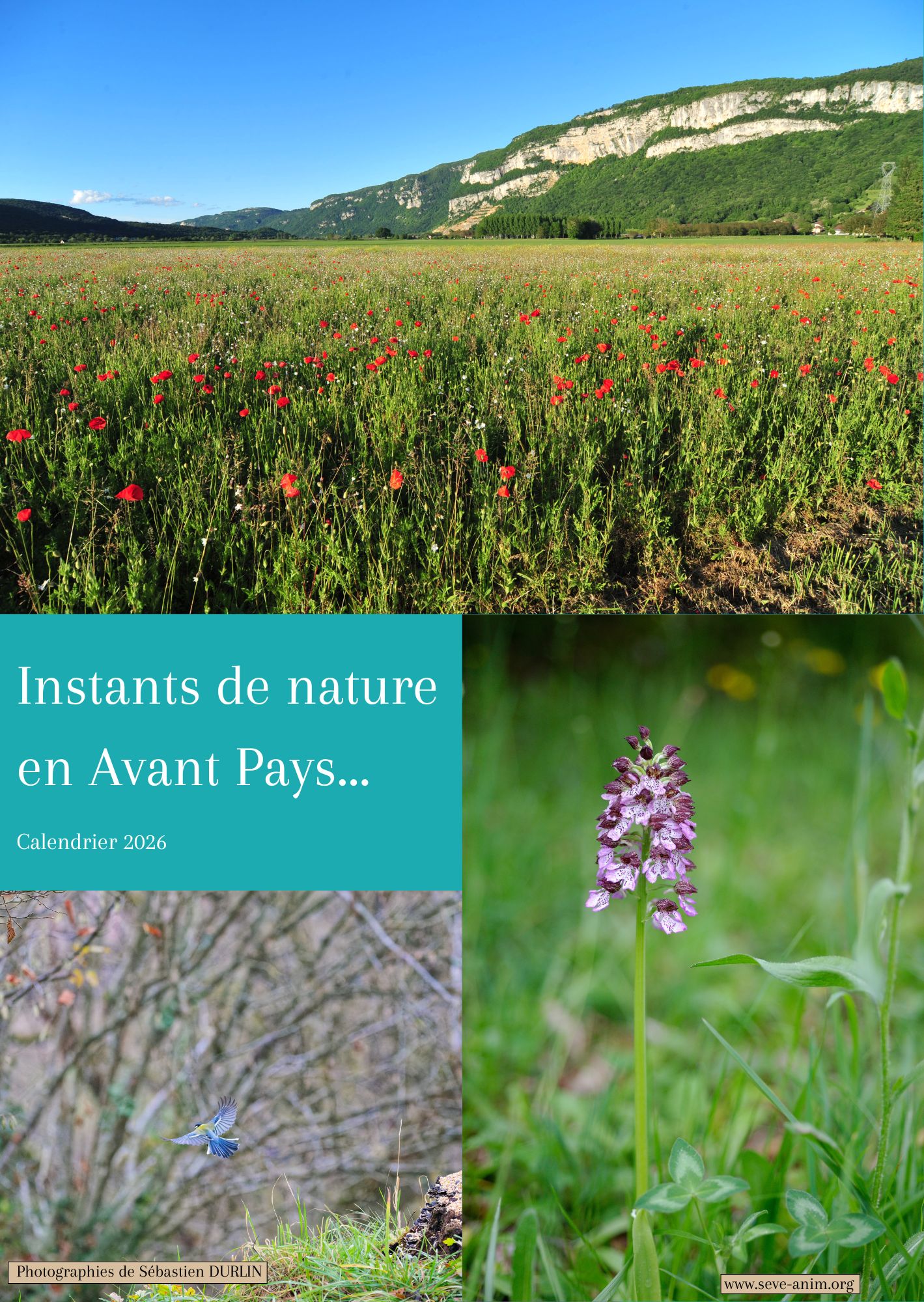 Calendrier nature 2026 - Ulule
