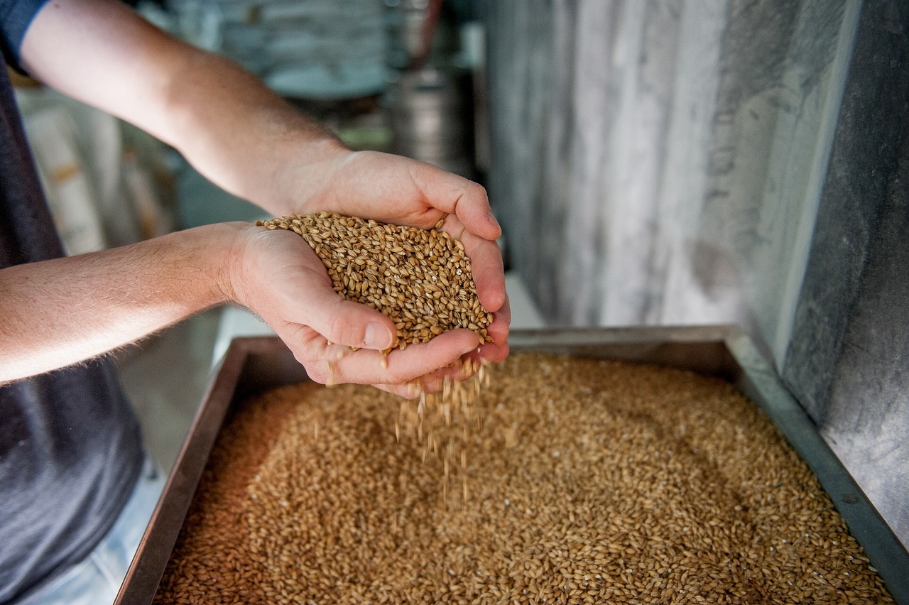 Les Hoppy Tinkers : malt, bières et spectacles à Brissac ! - Ulule