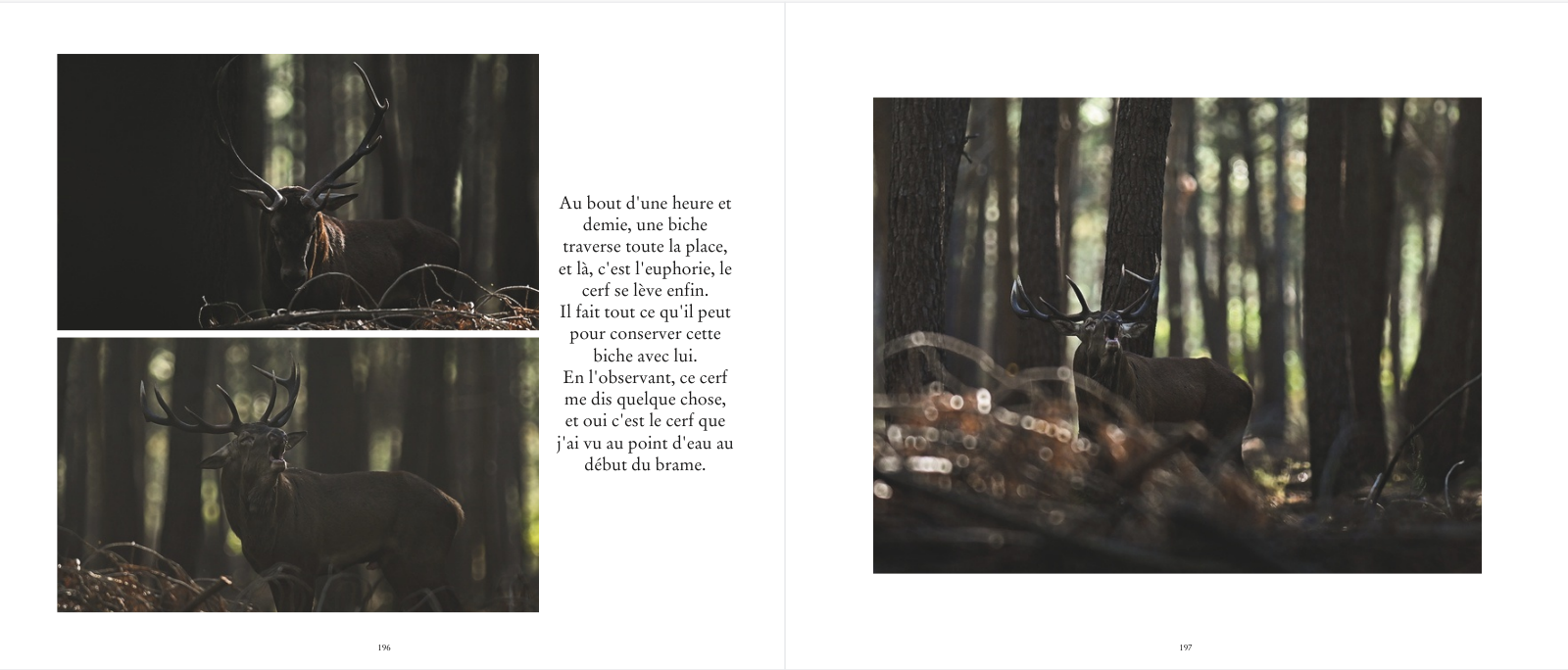 Le livre "FASCINATION" - Ulule