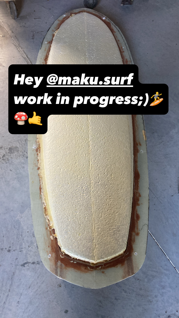 Koz Surfboards : le surf en champignon 🏄 🍄 - Ulule