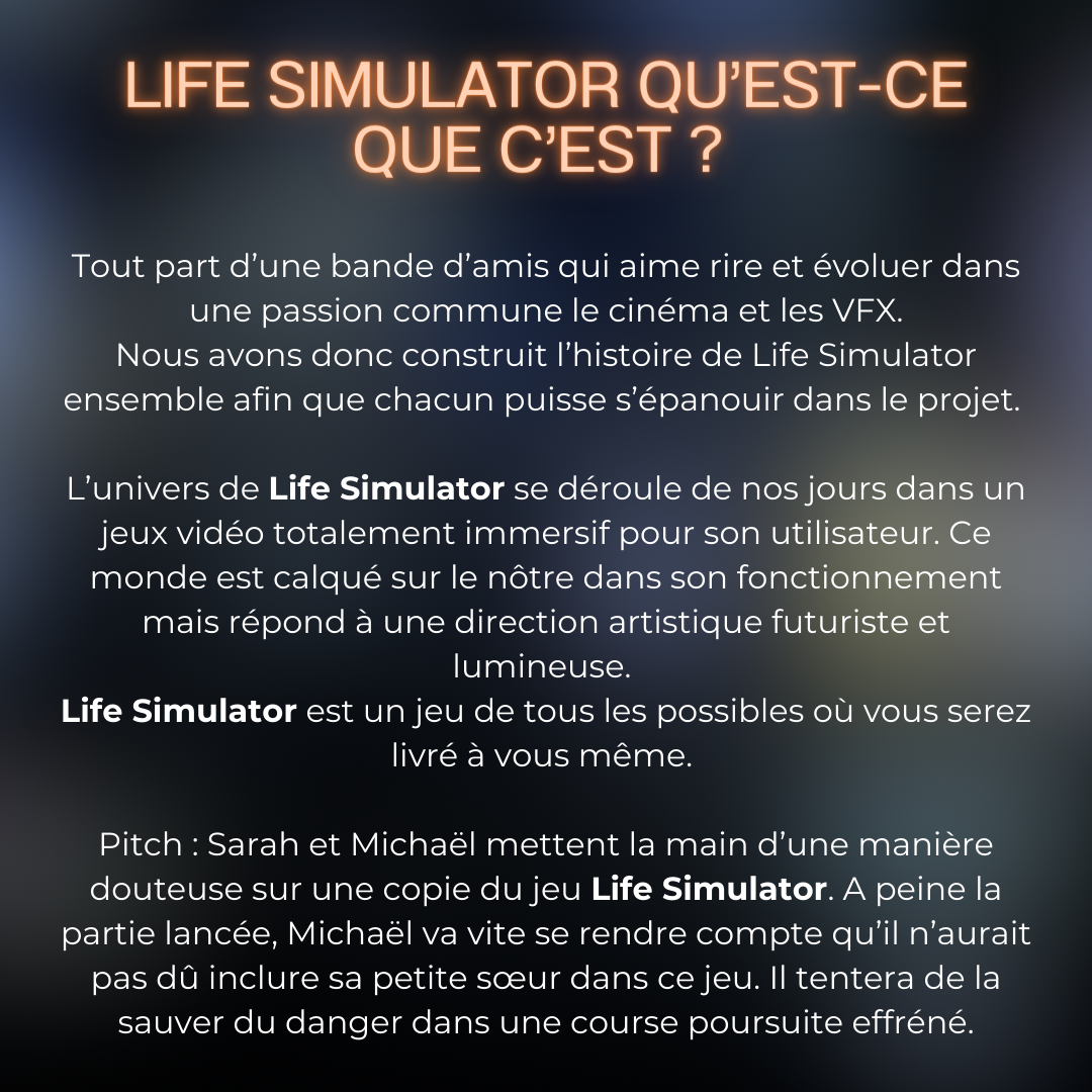 LIFE SIMULATOR