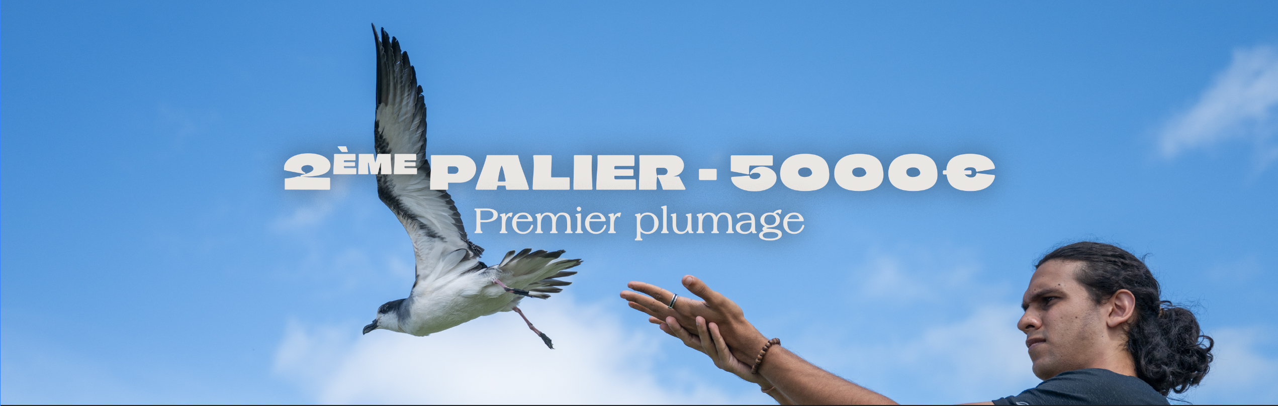PAPANGUE, l'ultime rapace de l'île - Ulule