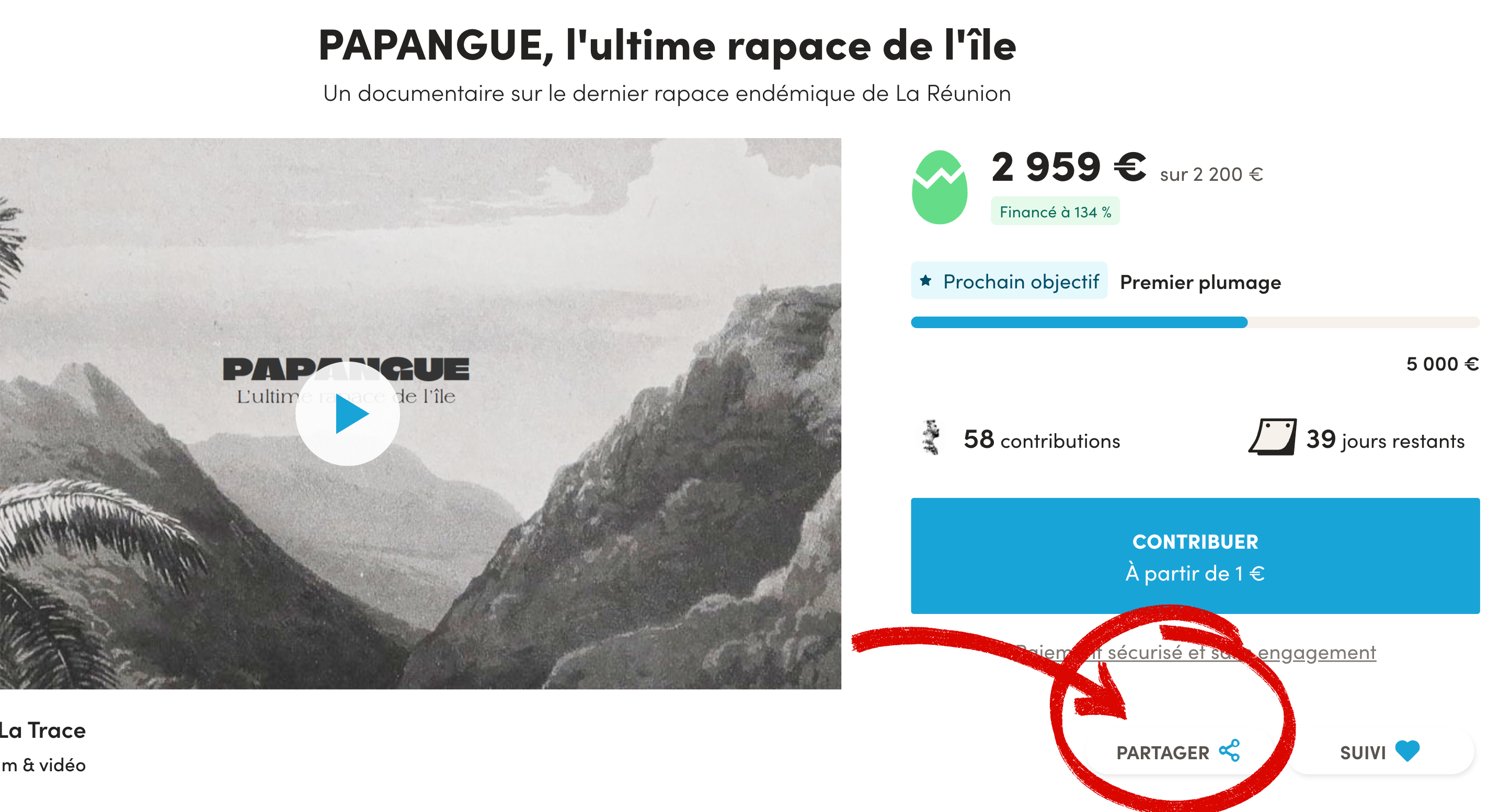 PAPANGUE, l'ultime rapace de l'île - Ulule