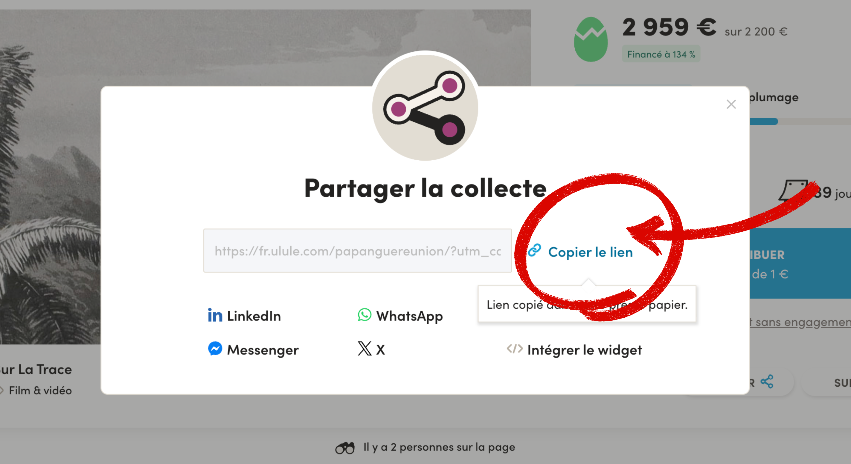 PAPANGUE, l'ultime rapace de l'île - Ulule