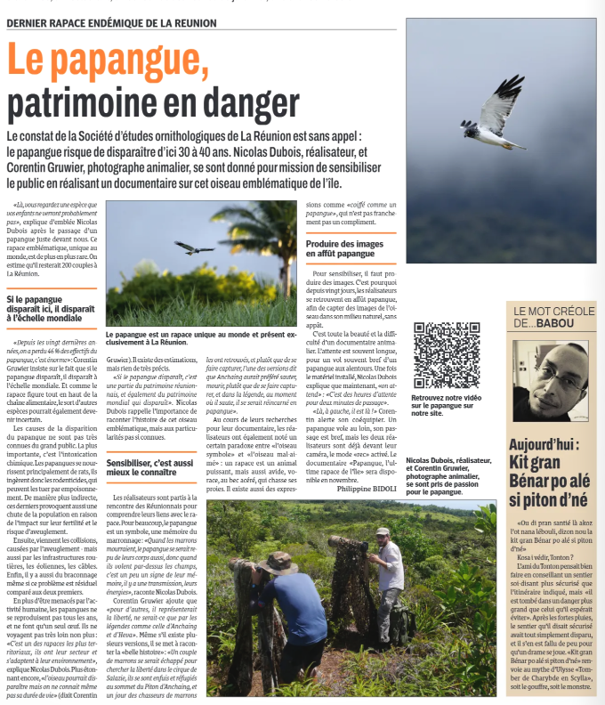 PAPANGUE, l'ultime rapace de l'île - Ulule