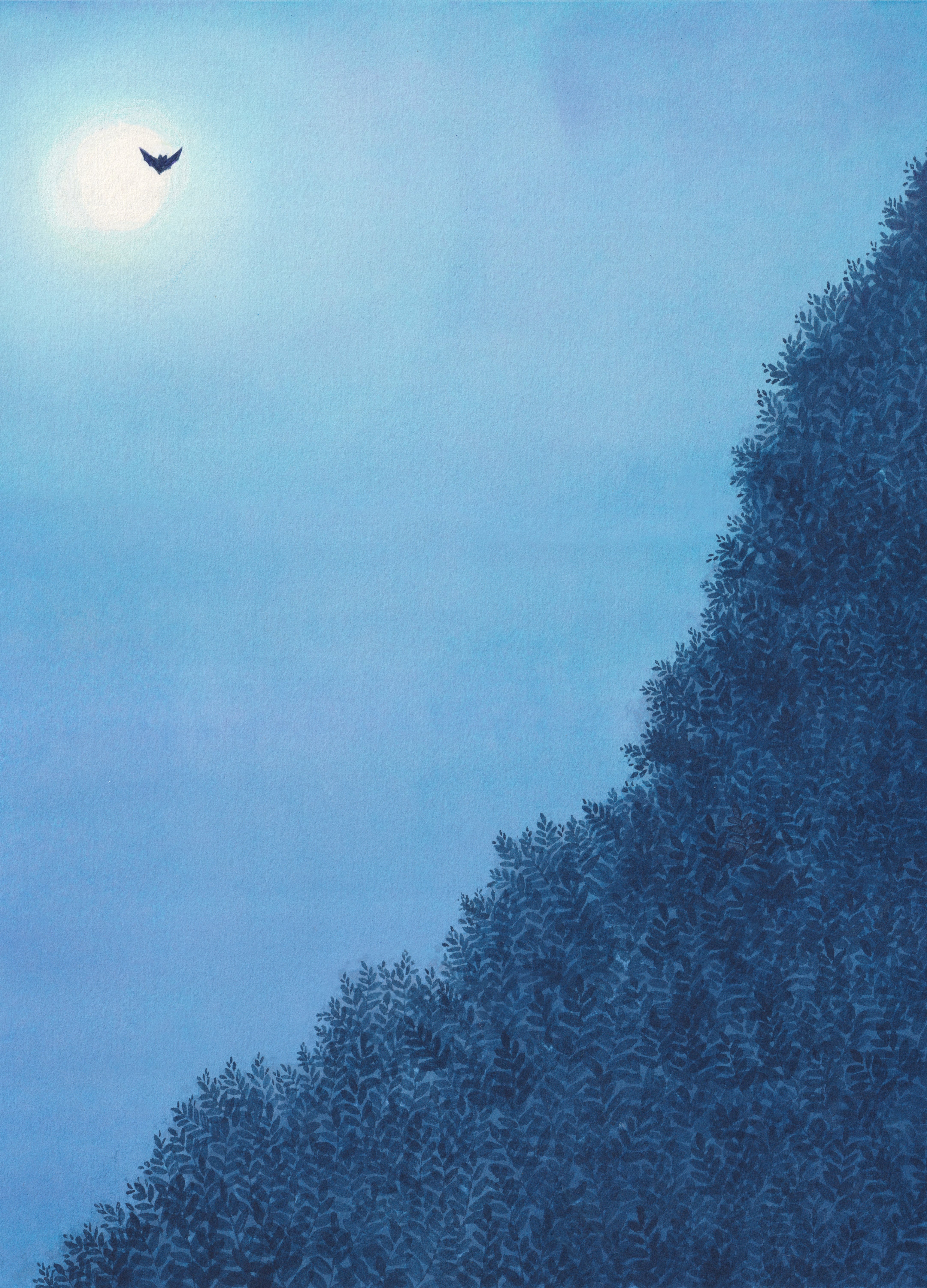 Cui-Cui #2, le fanzine d'exploration du vivant - Ulule