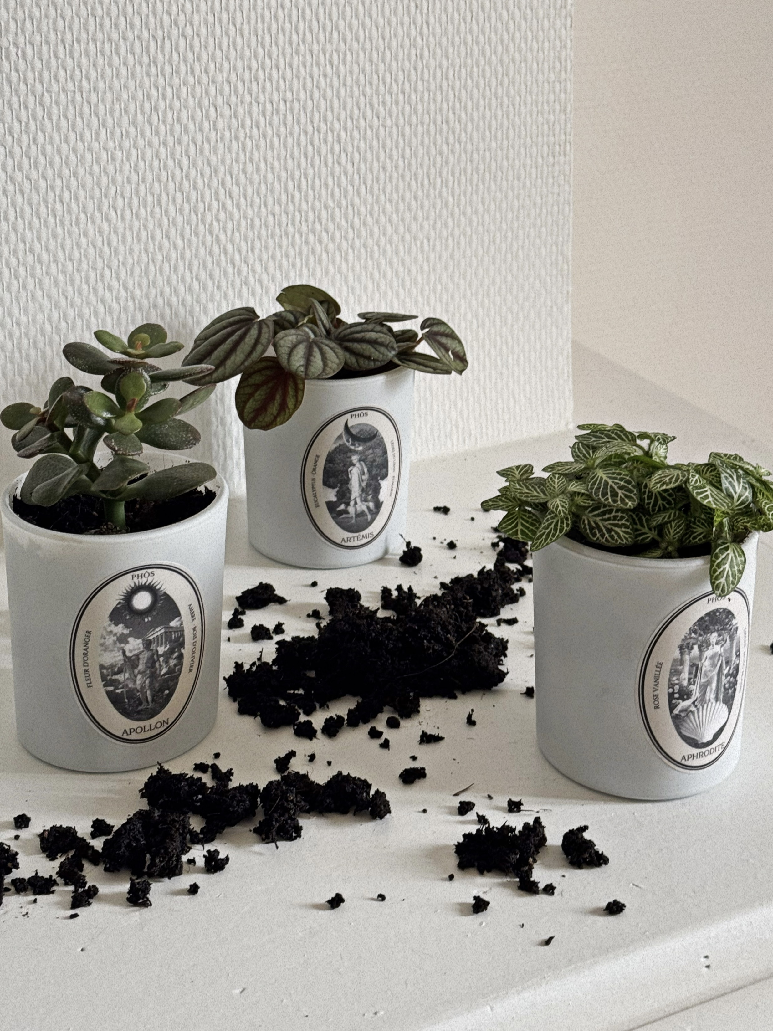 PHÔS - LA NOUVELLE COLLECTION DE BOUGIES PARFUMEES - Ulule