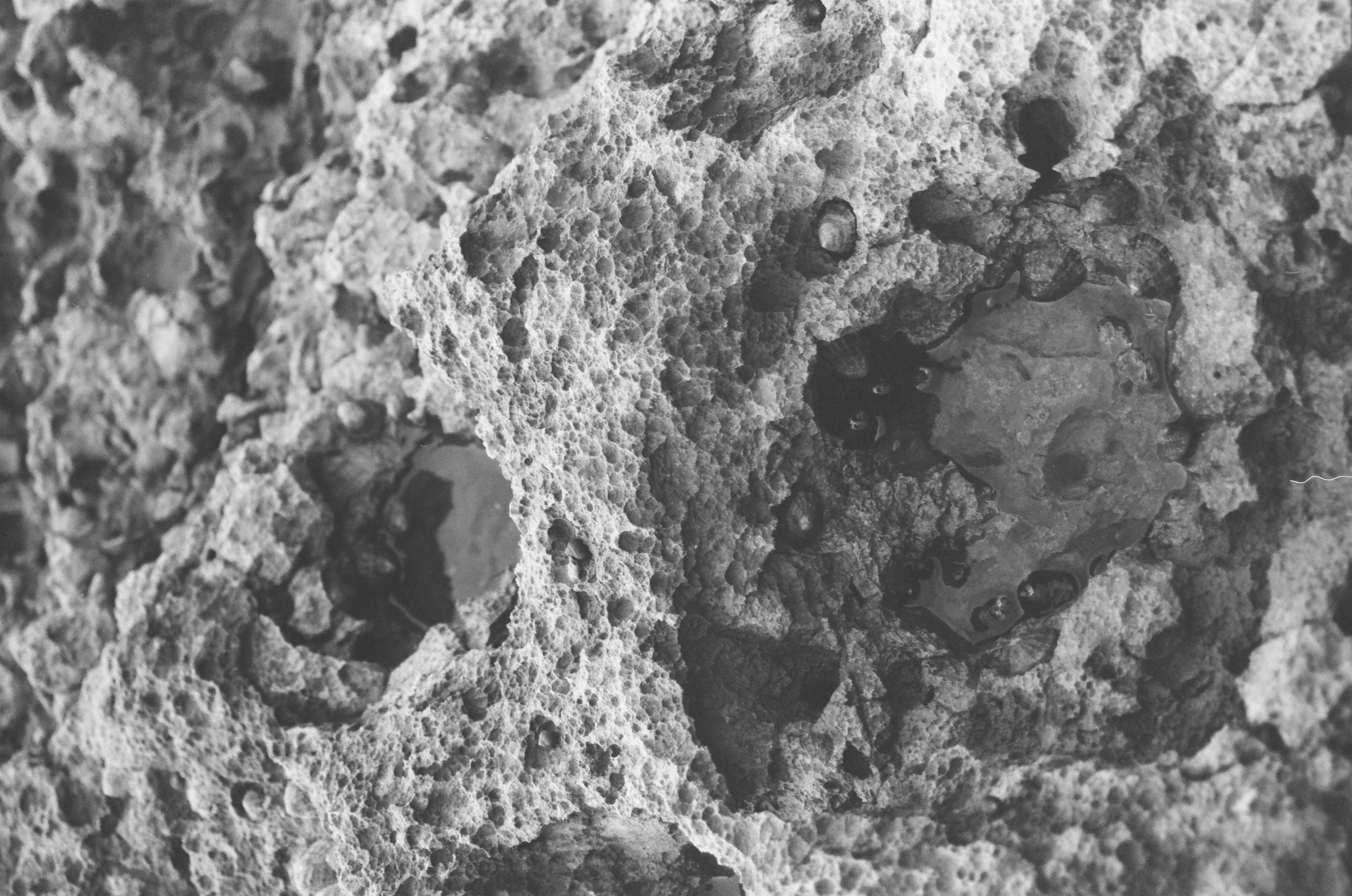 LE CORPS FARDÉ DE ROUGE, JE SUIS VENUE BRÛLER LA PLAGE - Ulule