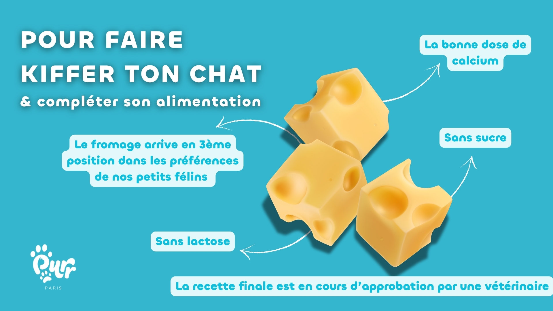 La marque qui fera kiffer vos chats 🐈