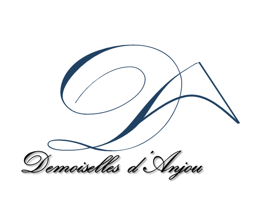 Philippe Maros - Ulule