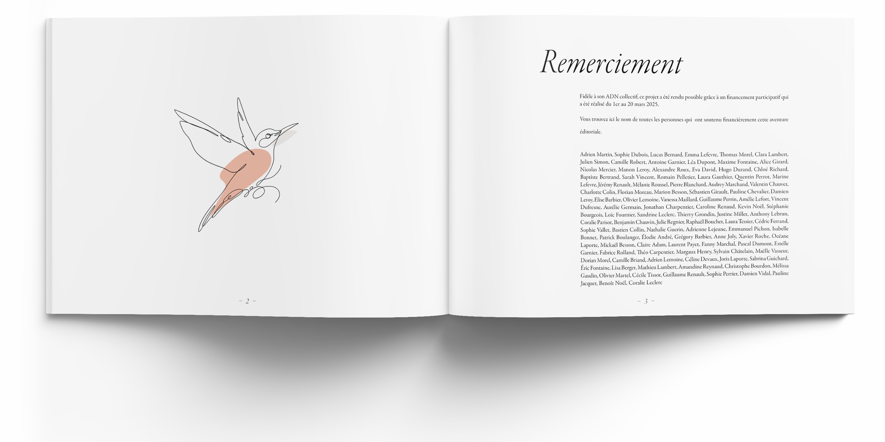 🚀⏰ OISEAUX-les plus belles images de l'année-Édition 2025 - Ulule