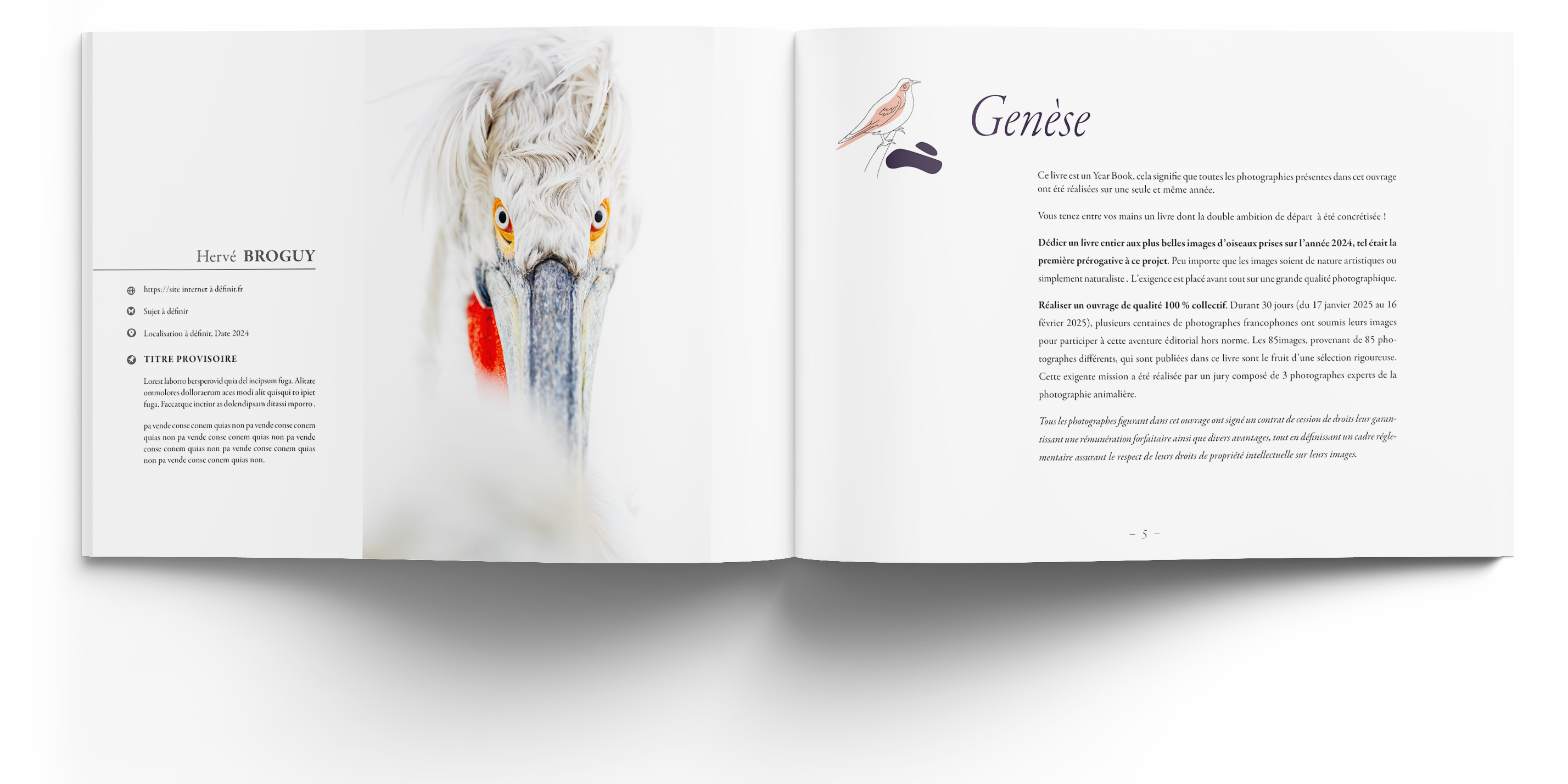 🚀⏰ OISEAUX-les plus belles images de l'année-Édition 2025 - Ulule