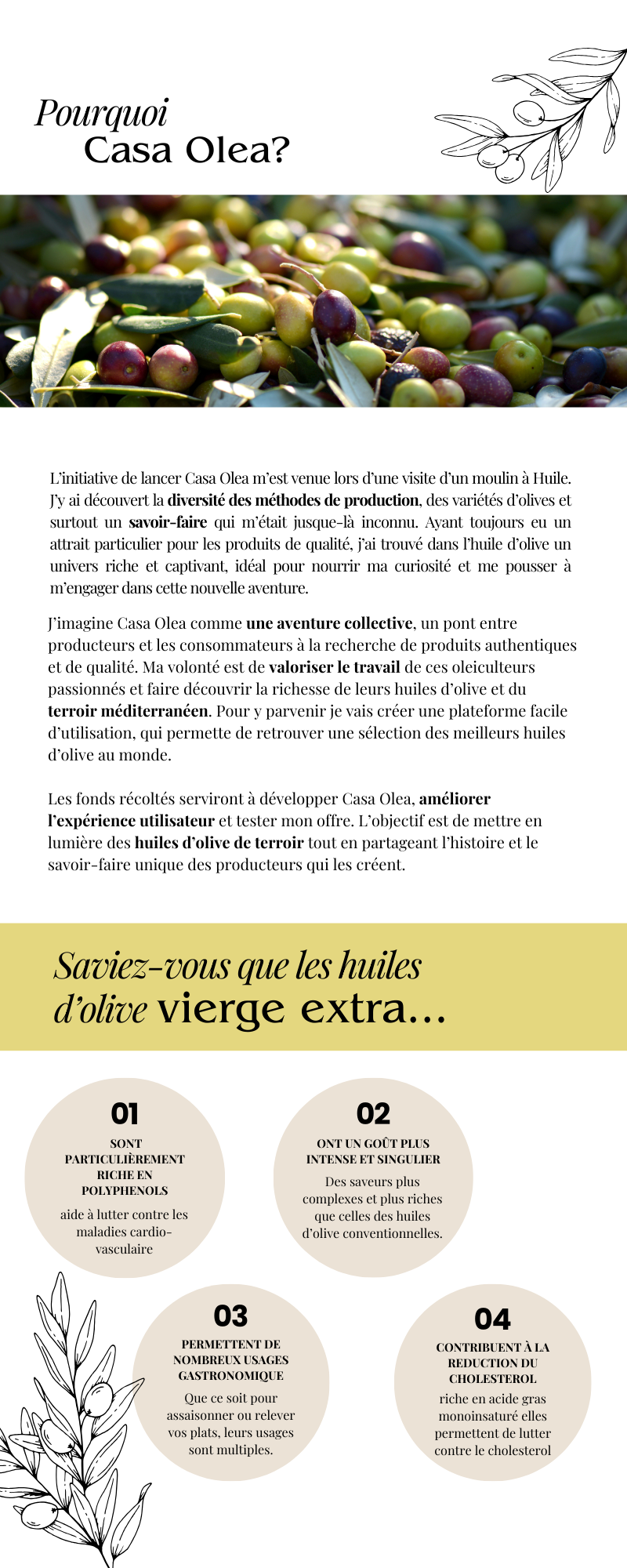 🏺Casa Olea - Huiles d'olive de terroir