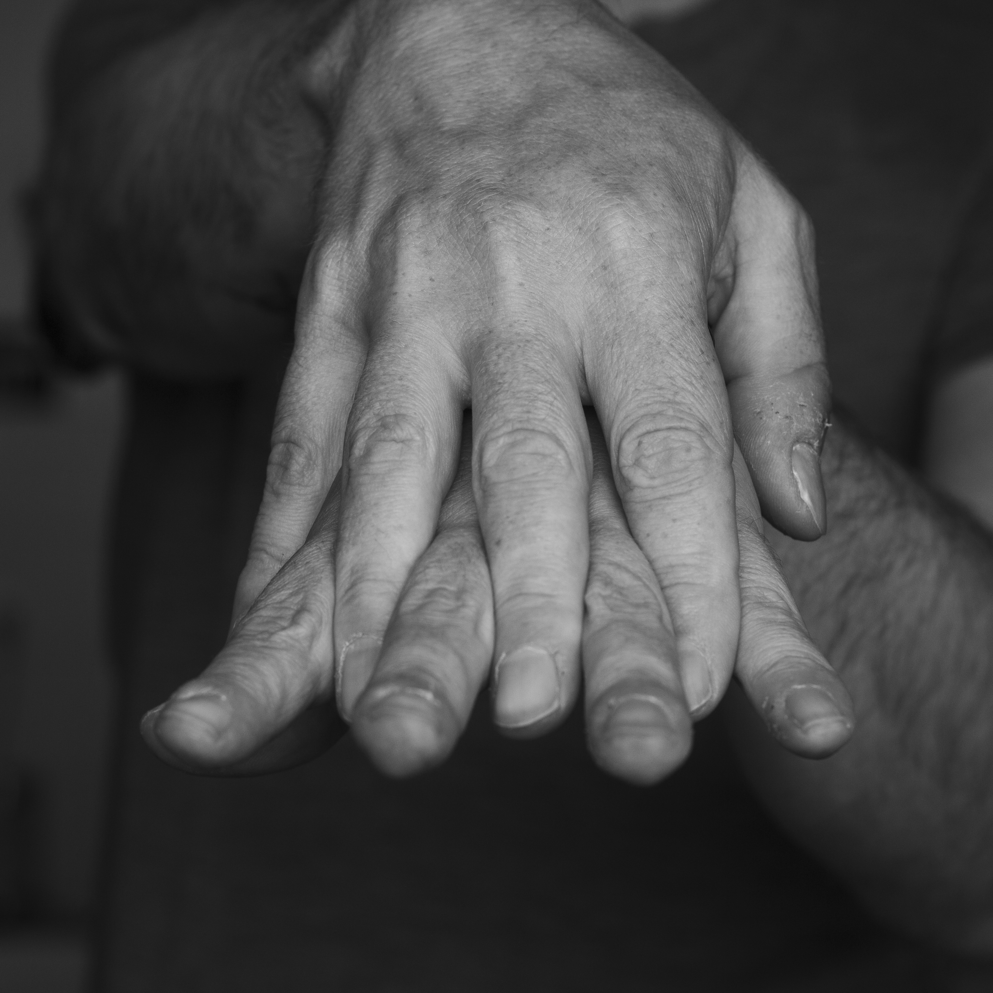 La photographie comme outil de lien social - Ulule