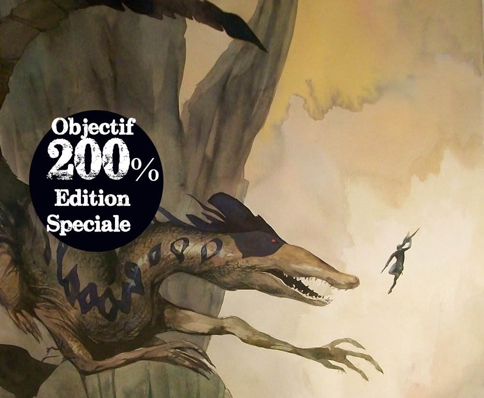 David Braconnier - Ulule