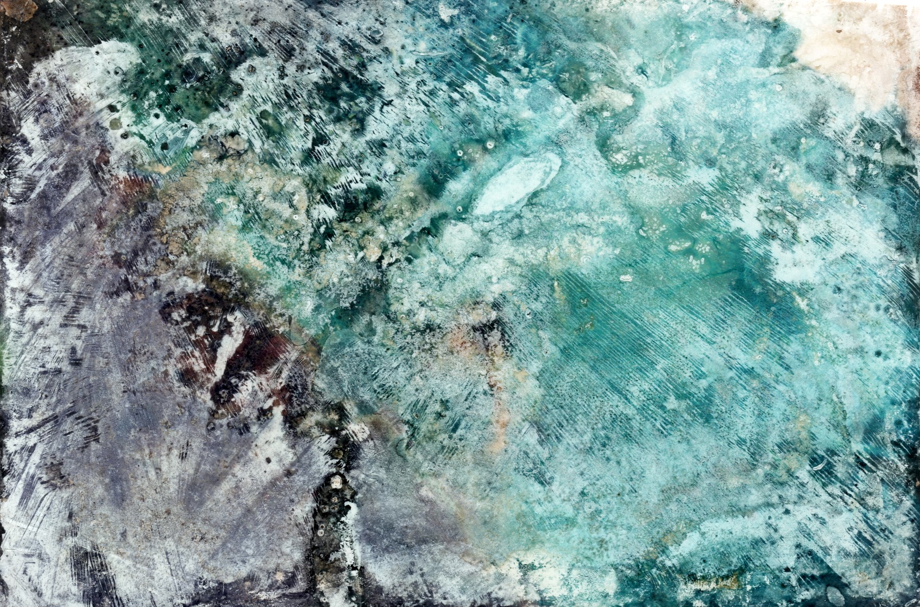 Evanouissance on my doorstep /sur le seuil de ma porte