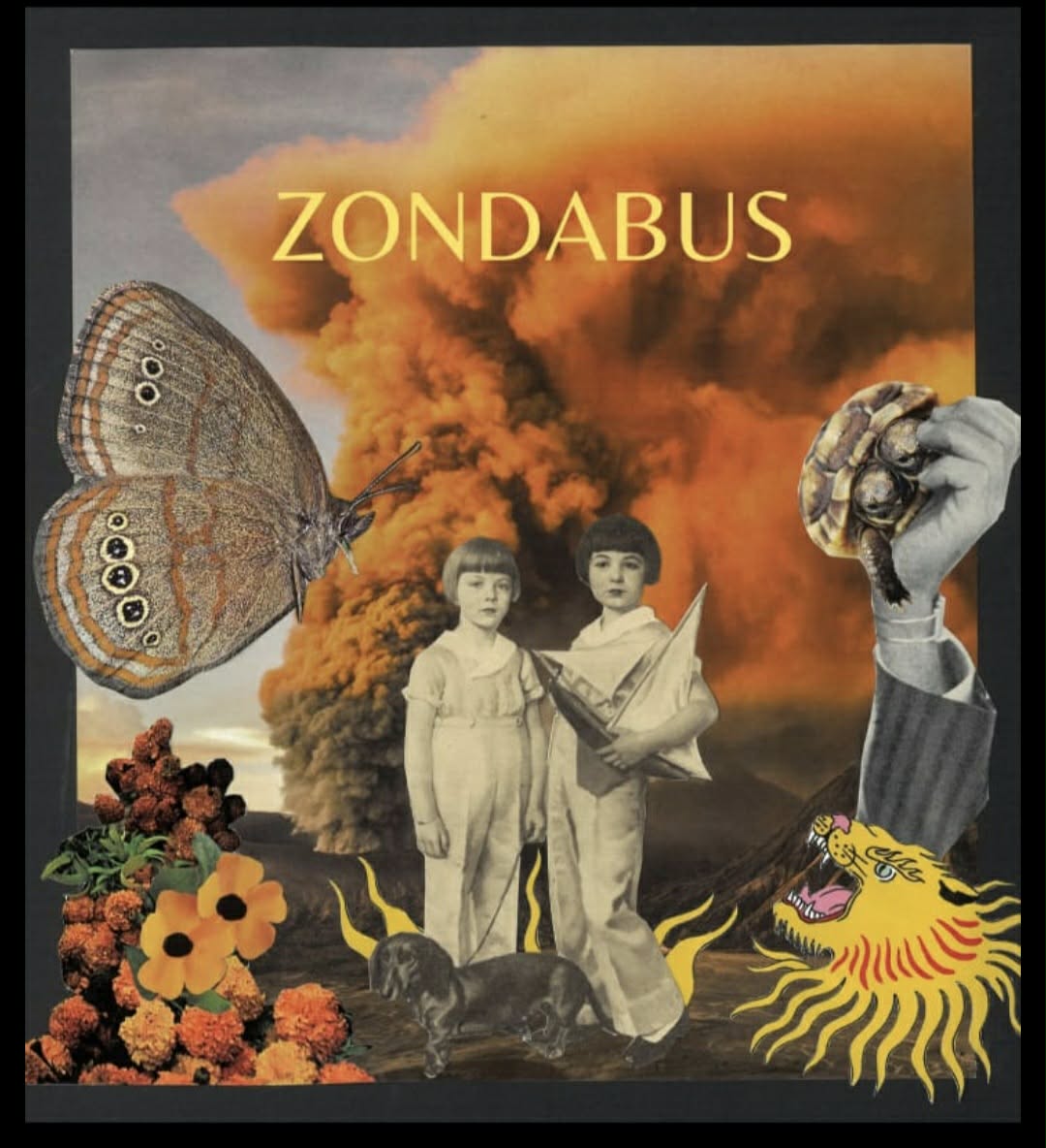 🦋 PREMIER ALBUM ZONDABUS 🌞