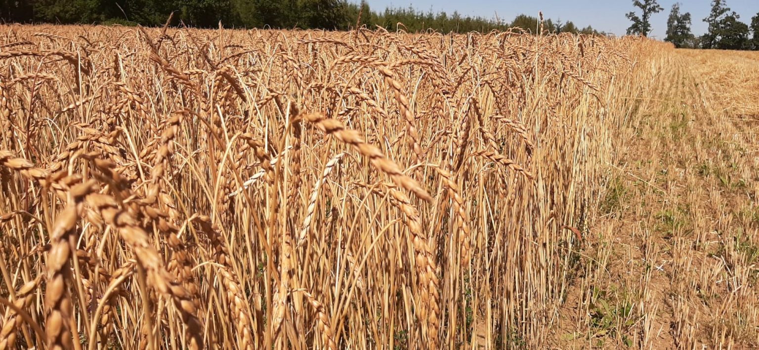 Une boulangerie au bord de la colline! - Ulule