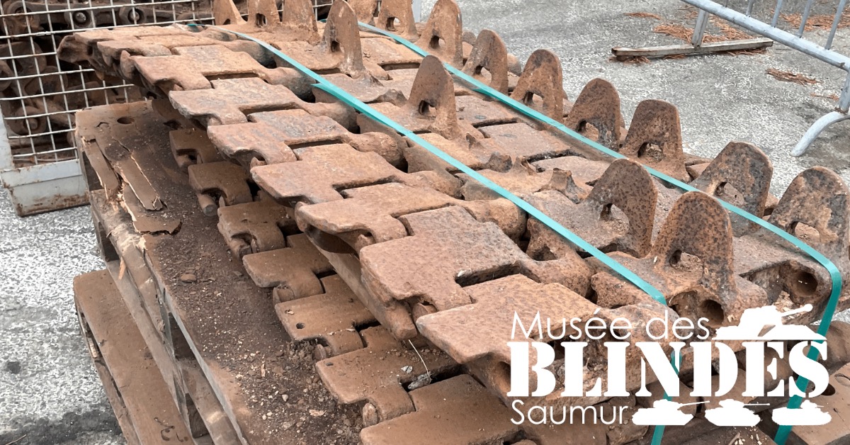 Aidez le Tigre à rugir de nouveau ! - Ulule