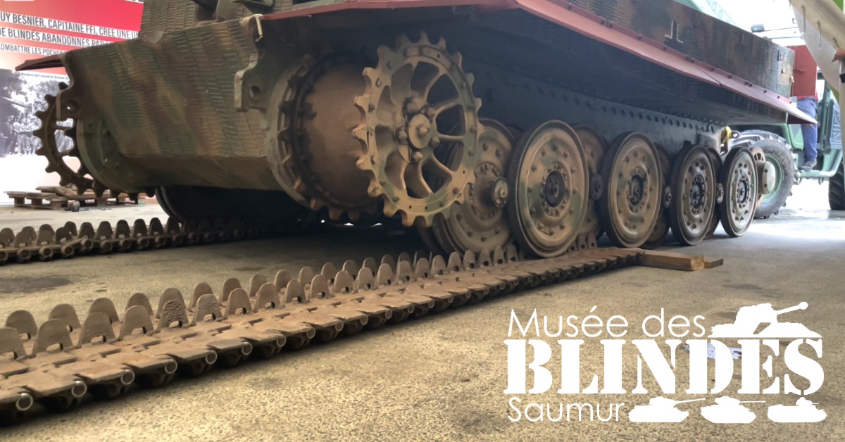 Aidez le Tigre à rugir de nouveau ! - Ulule