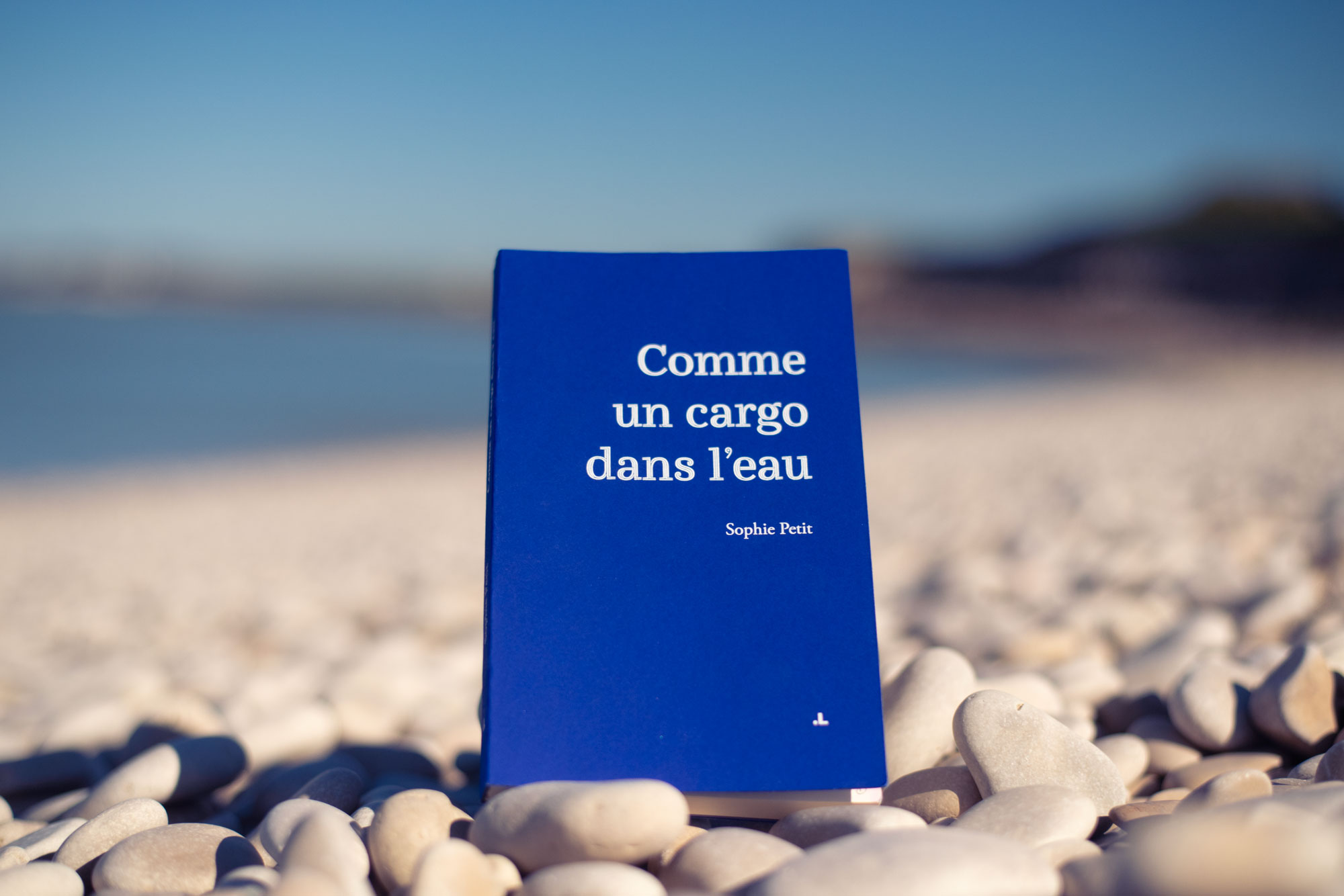 Le petit livre bleu - Ulule