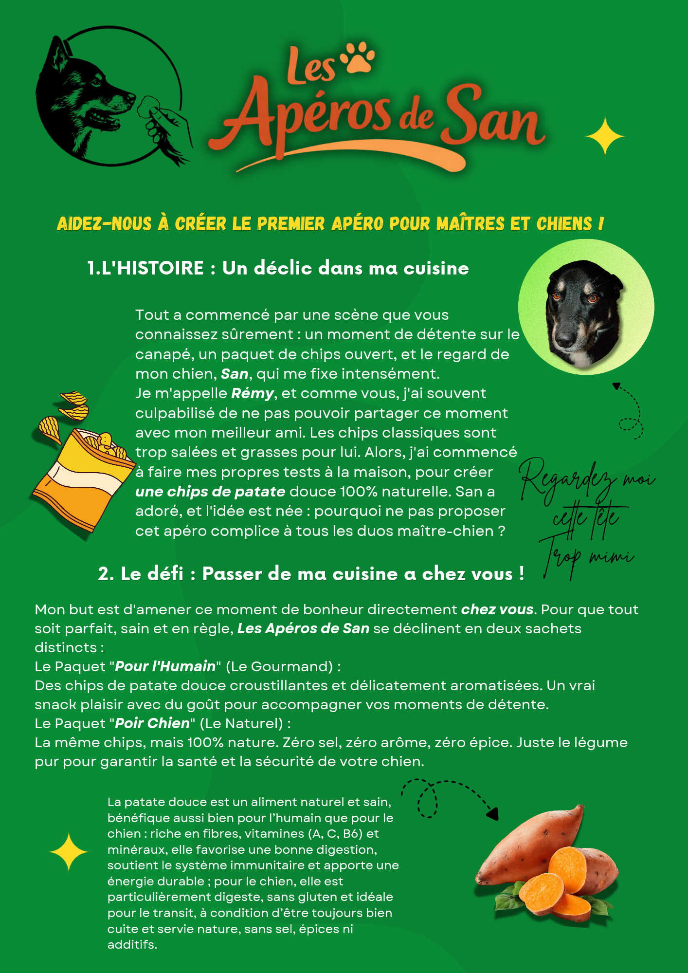 🐾 Les Apéros de San – L’apéros humains et chiens - Ulule