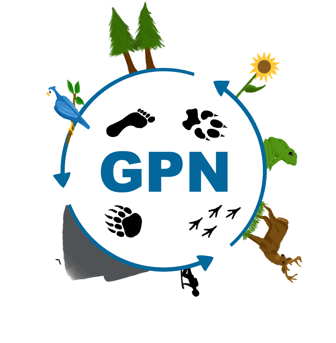 David Boulvard - Ulule